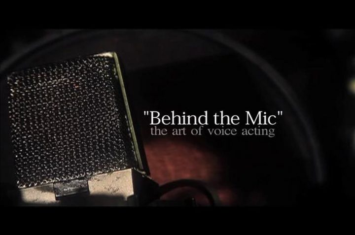 Voice Over Castings – Infographic – The Voice Realm